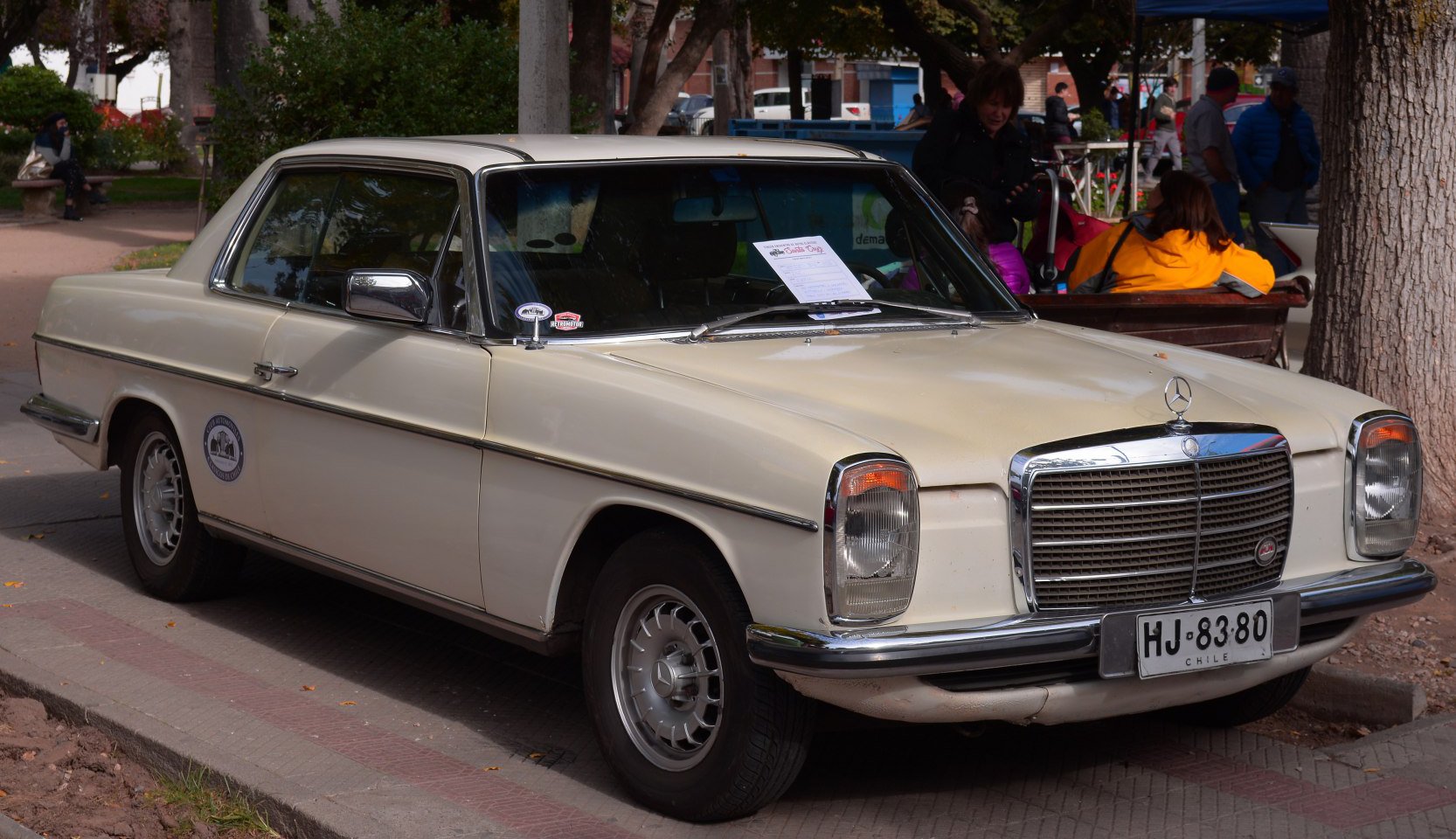 Mercedes-Benz /8 technische daten und verbrauch